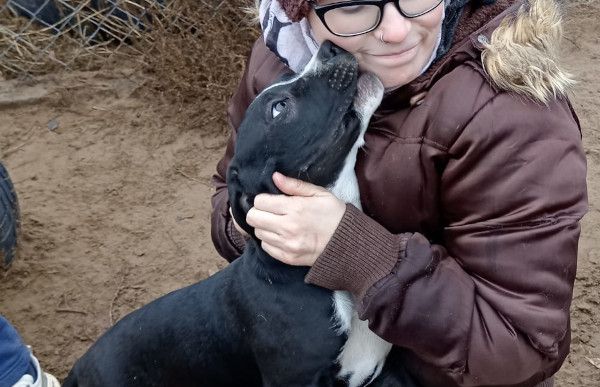 Hundevermittlung Nila-2 - Animal Happyend