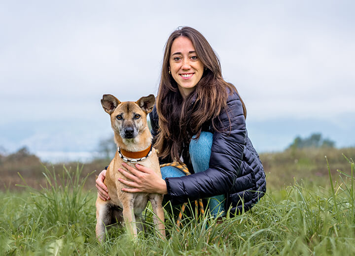 Transporthelfer - Animal Happyend
